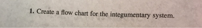 Solved 1. Create a flow chart for the integumentary system. | Chegg.com