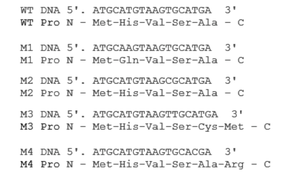 Solved Select all mutation type descriptions that can be | Chegg.com