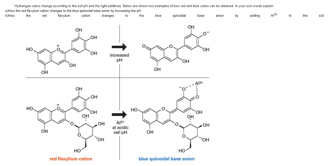 Solved Hydrangea colors change according to the soil pH and | Chegg.com