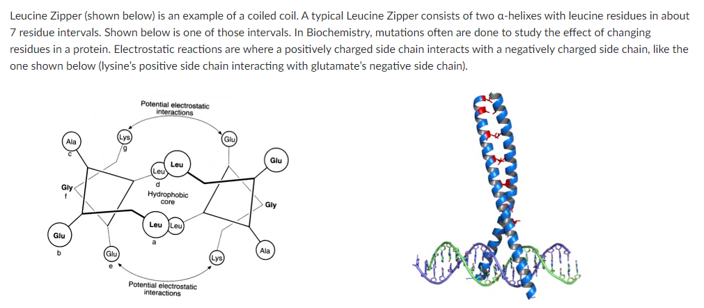 Leucine Zipper (shown below) is an example of a | Chegg.com