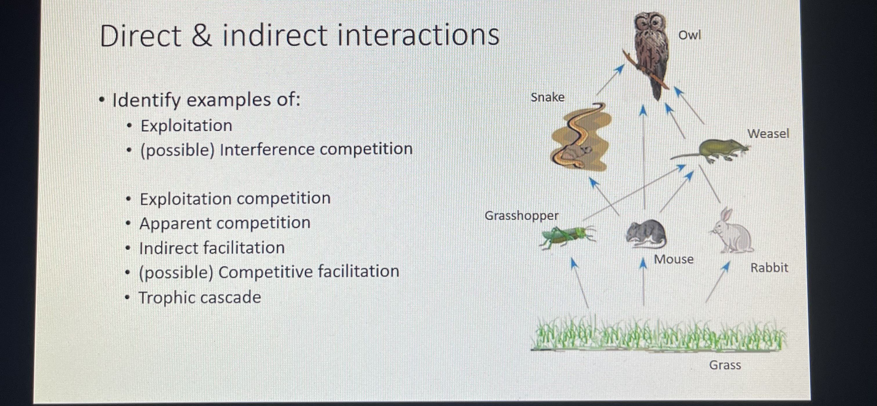 Solved Im having a hard time determining the interaction | Chegg.com