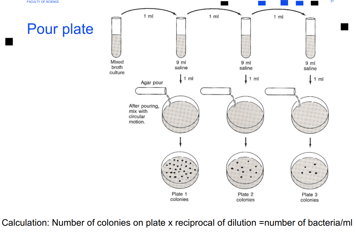 Solved Calculation: Number of colonies on plate x reciprocal | Chegg.com