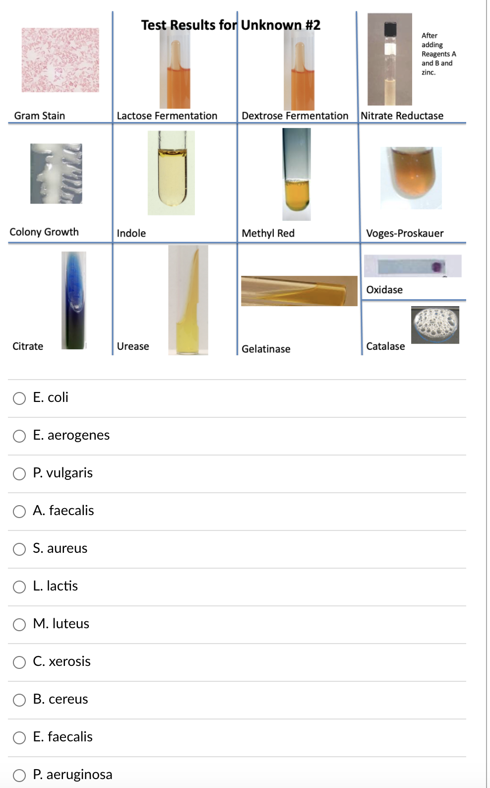 Solved Test Results for Unknown #2 After adding Reagents A | Chegg.com