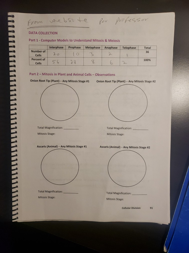 from website per professor DATA COLLECTION Part 1 - | Chegg.com
