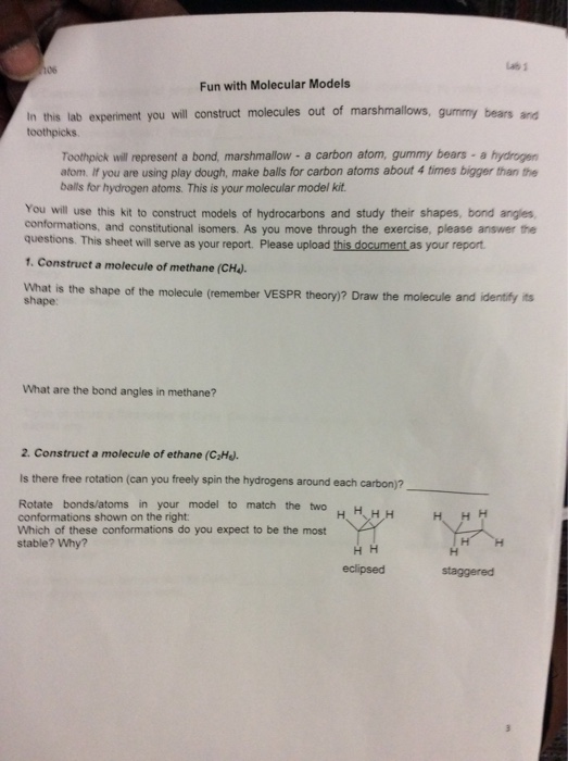 Solved Fun with Molecular Models in this lab experiment you | Chegg.com
