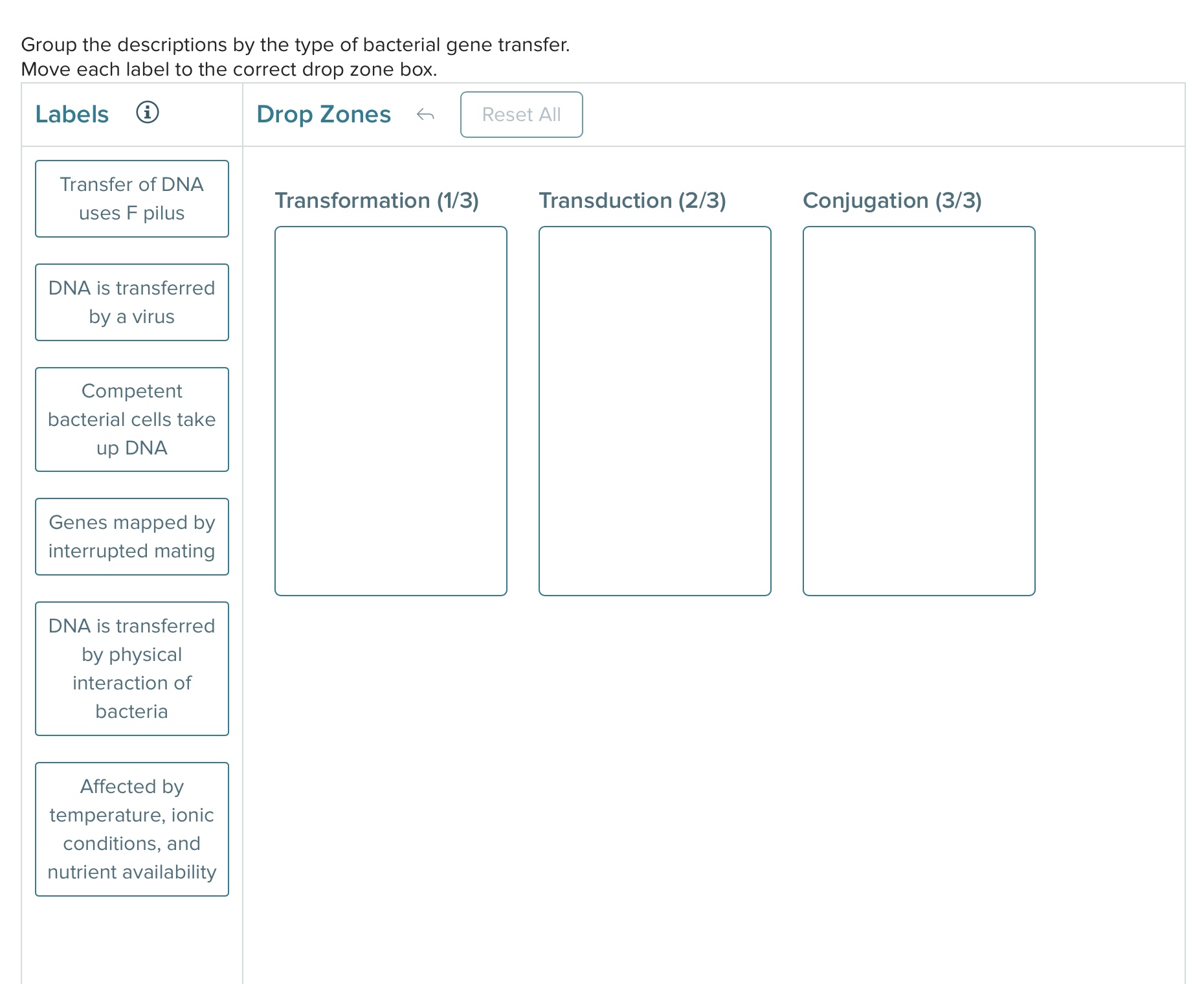 Solved Group the descriptions by the type of bacterial gene | Chegg.com