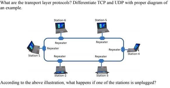 Solved What are the transport layer protocols? Differentiate | Chegg.com