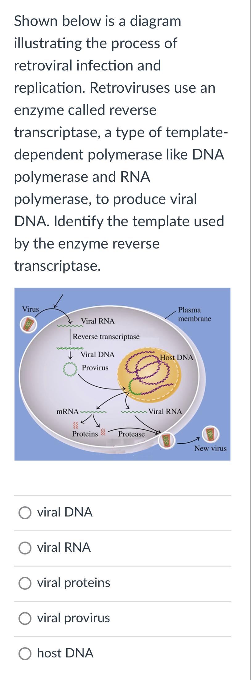 Solved Shown below is a diagram illustrating the process of | Chegg.com