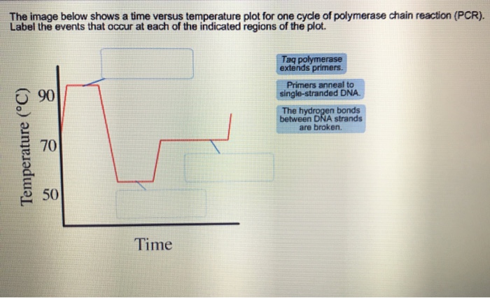 Solved The image below shows a time versus temperature plot | Chegg.com