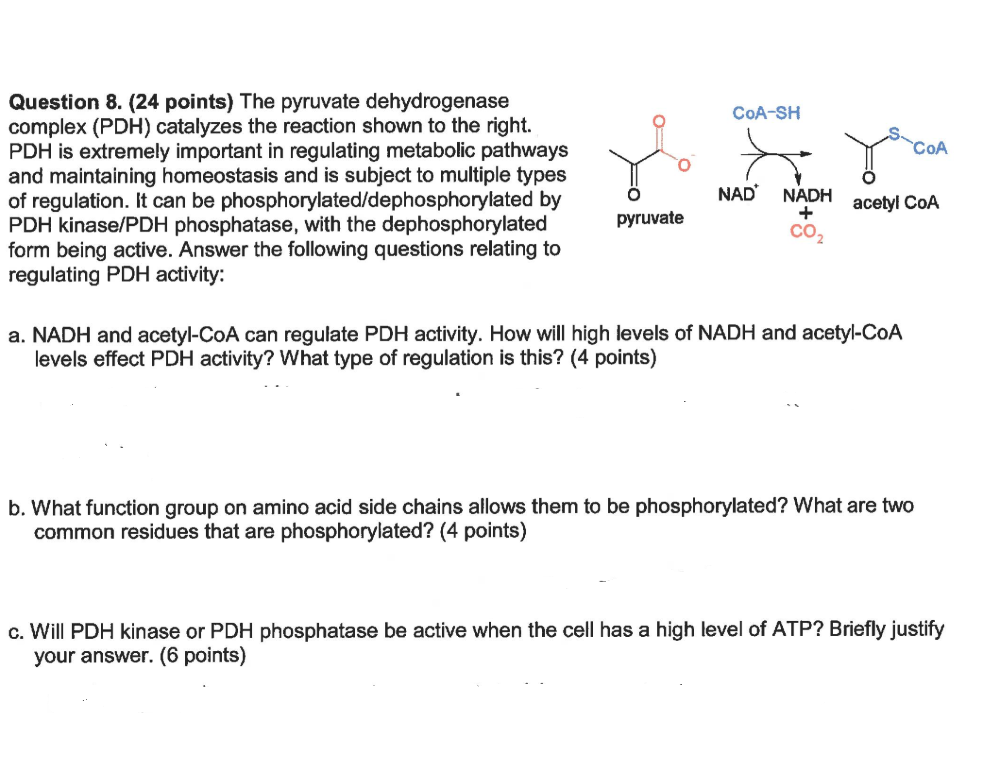 Pyruvate Dehydrogenase Complex Regulation