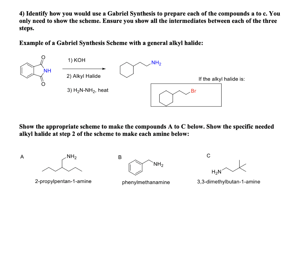Solved 4) Identify how you would use a Gabriel Synthesis to | Chegg.com