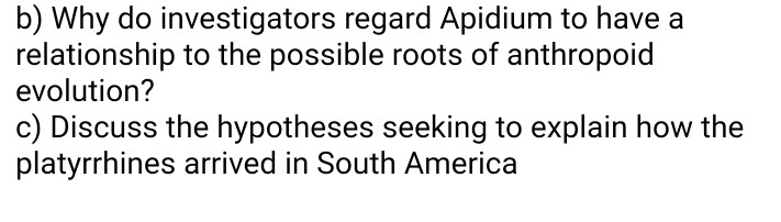 Solved b) Why do investigators regard Apidium to have | Chegg.com