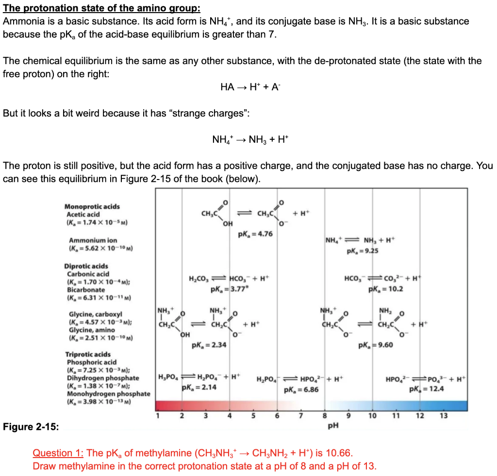 Solved Question 1: The pKa of methylamine (CH3NH3+ → CH3NH2 | Chegg.com