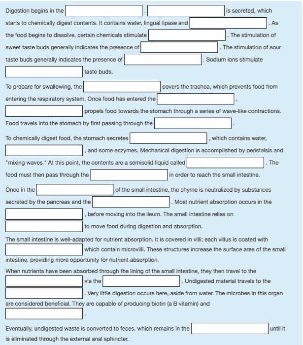 Solved Segmentation Gastroesophageal sphincter Peristalsis | Chegg.com