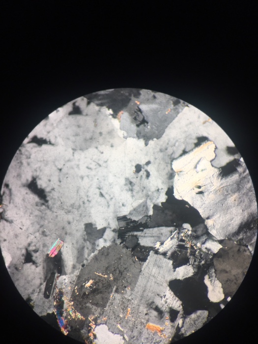 Solved Identify all the minerals within the thin section, | Chegg.com