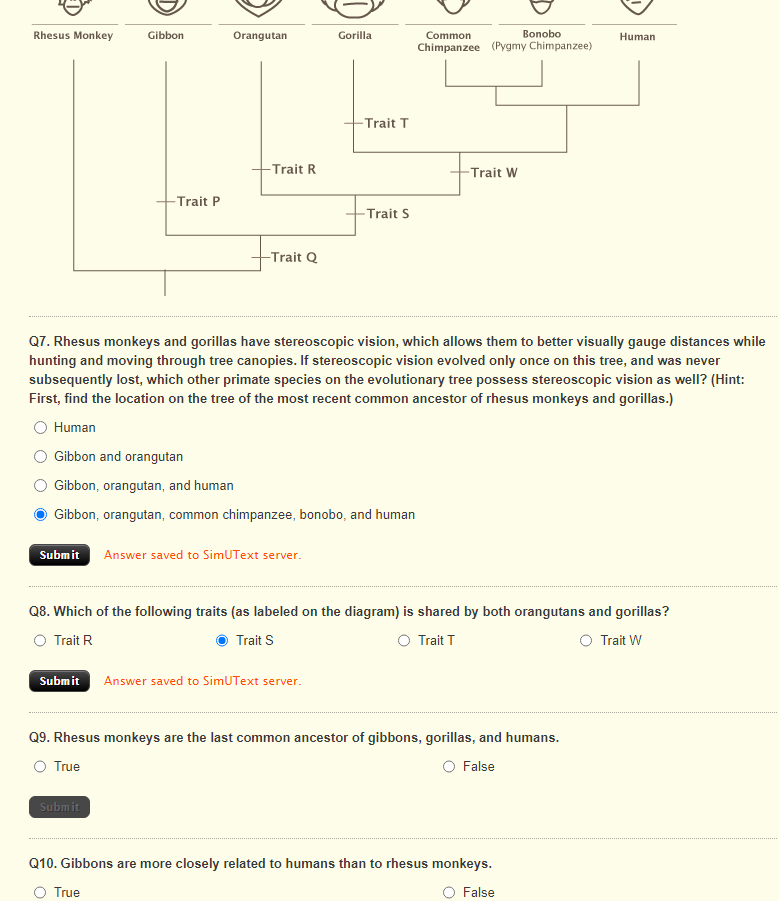 Solved Q7. ﻿Rhesus monkeys and gorillas have stereoscopic | Chegg.com
