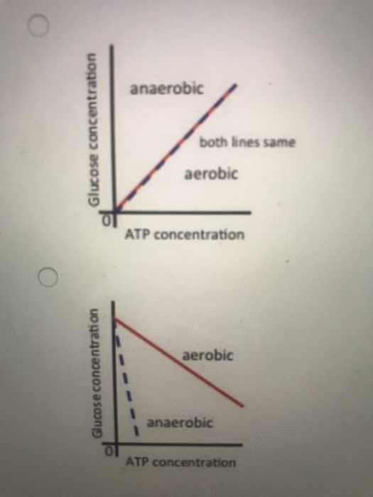 Solved Which graph best shows the relationship between | Chegg.com