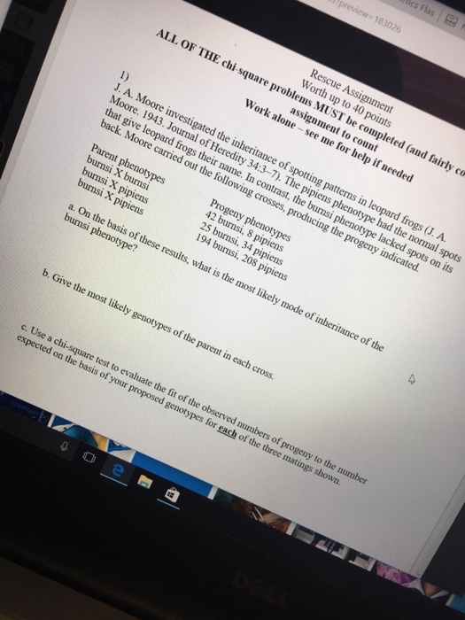 Solved J.A. Moore investigated the inheritance of spotting | Chegg.com