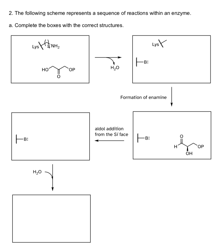 Solved The following scheme represents a sequence of | Chegg.com