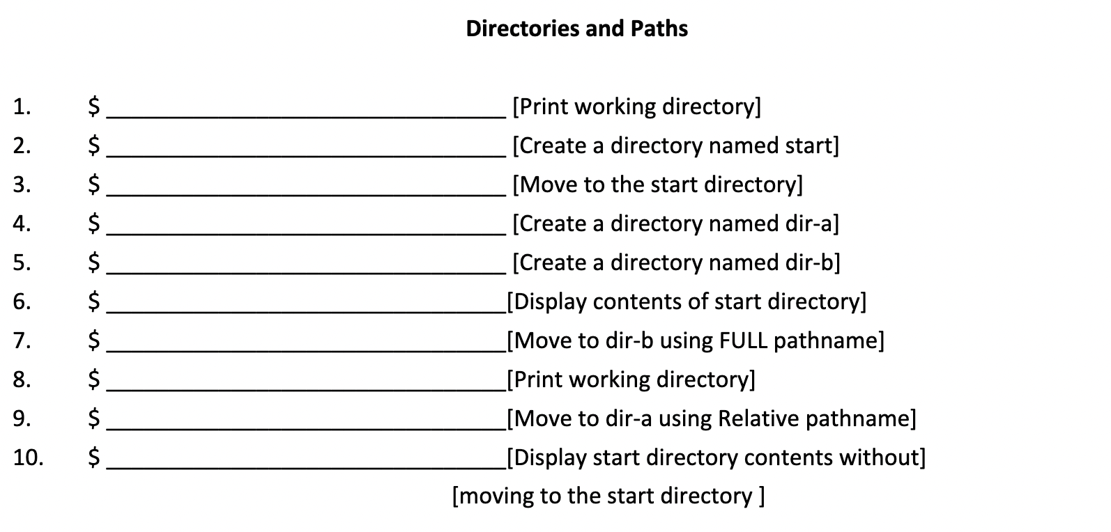 Solved Directories and Paths | Chegg.com