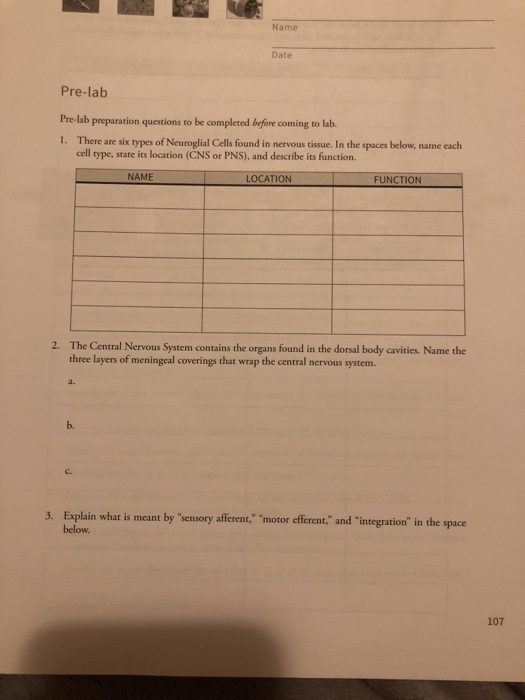 Solved Name Date Pre-lab Pre- lab preparation questions to | Chegg.com Solved Name Date Pre-lab Pre- lab preparation questions to | Chegg.com