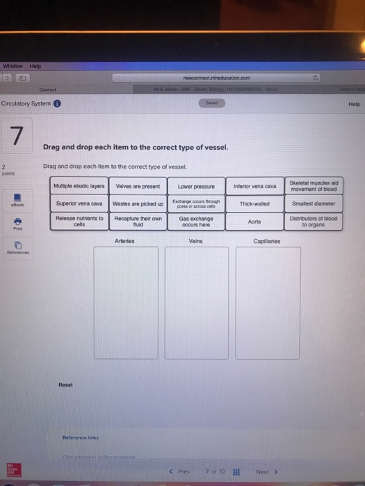 Solved Drag and drop each item to the correct type of | Chegg.com