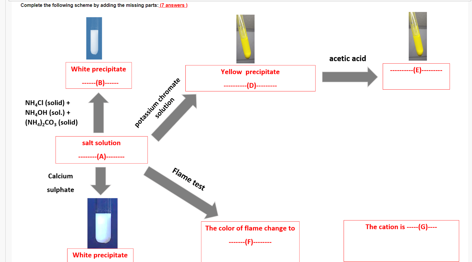 Solved Complete the following scheme by adding the missing | Chegg.com