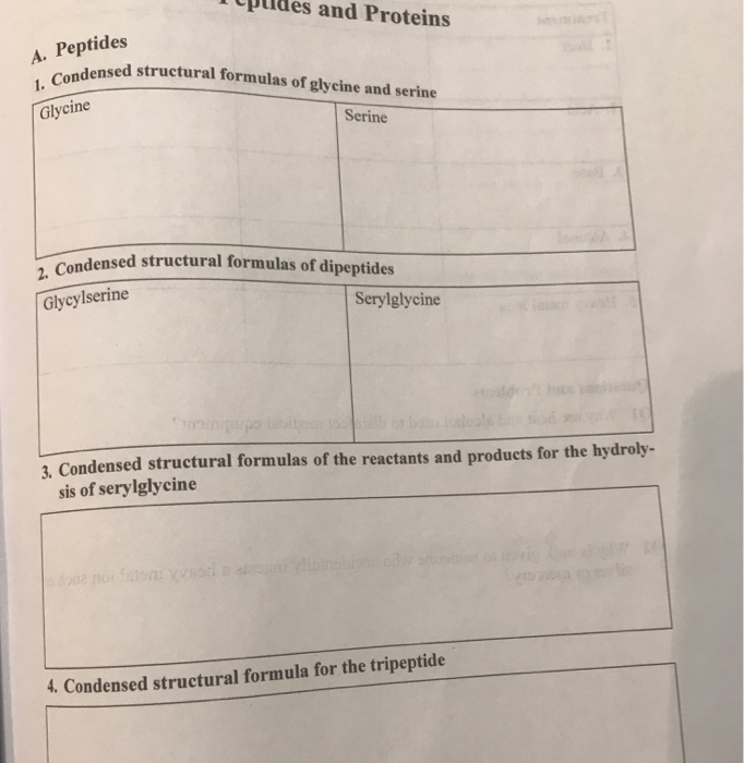 Solved ptides and Proteins A. Peptides 1. Condensed Glycine | Chegg.com