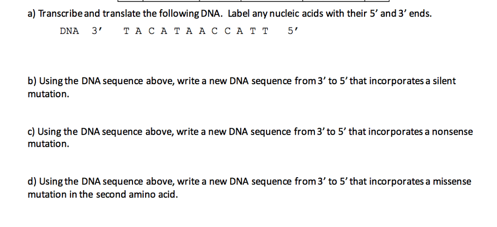 Solved I. What is the correct order of enzyme action during | Chegg.com