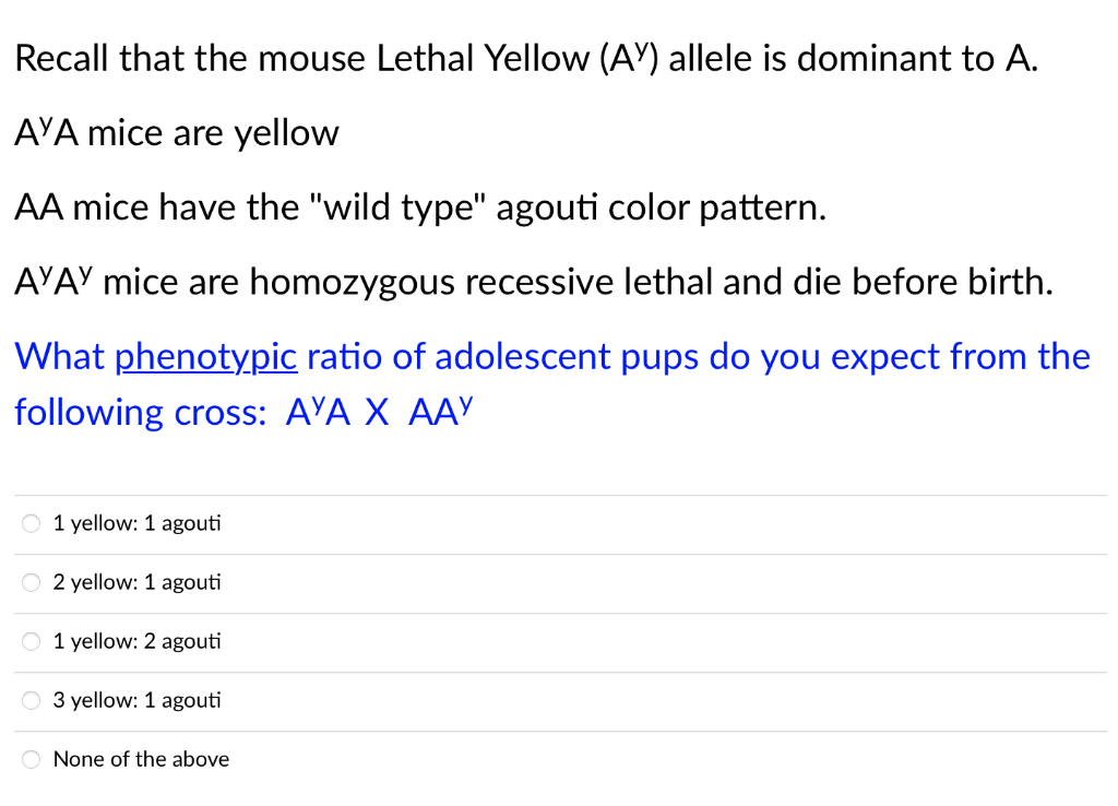 Solved Recall that the mouse Lethal Yellow (Ay) allele is | Chegg.com