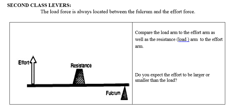 Solved The Fulcrum - is the fixed point of the lever, the | Chegg.com