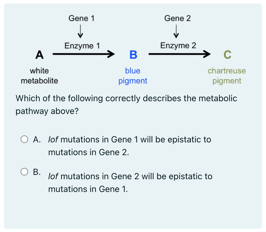 Solved Which of the following correctly describes the | Chegg.com