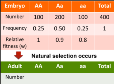 Solved Based on the table, calculate the frequency of allele | Chegg.com
