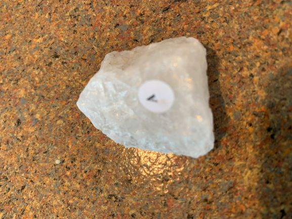 Solved D | Chegg.com