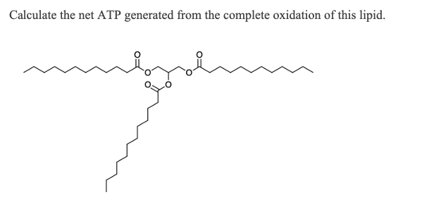 Solved Calculate the net ATP generated from the complete | Chegg.com