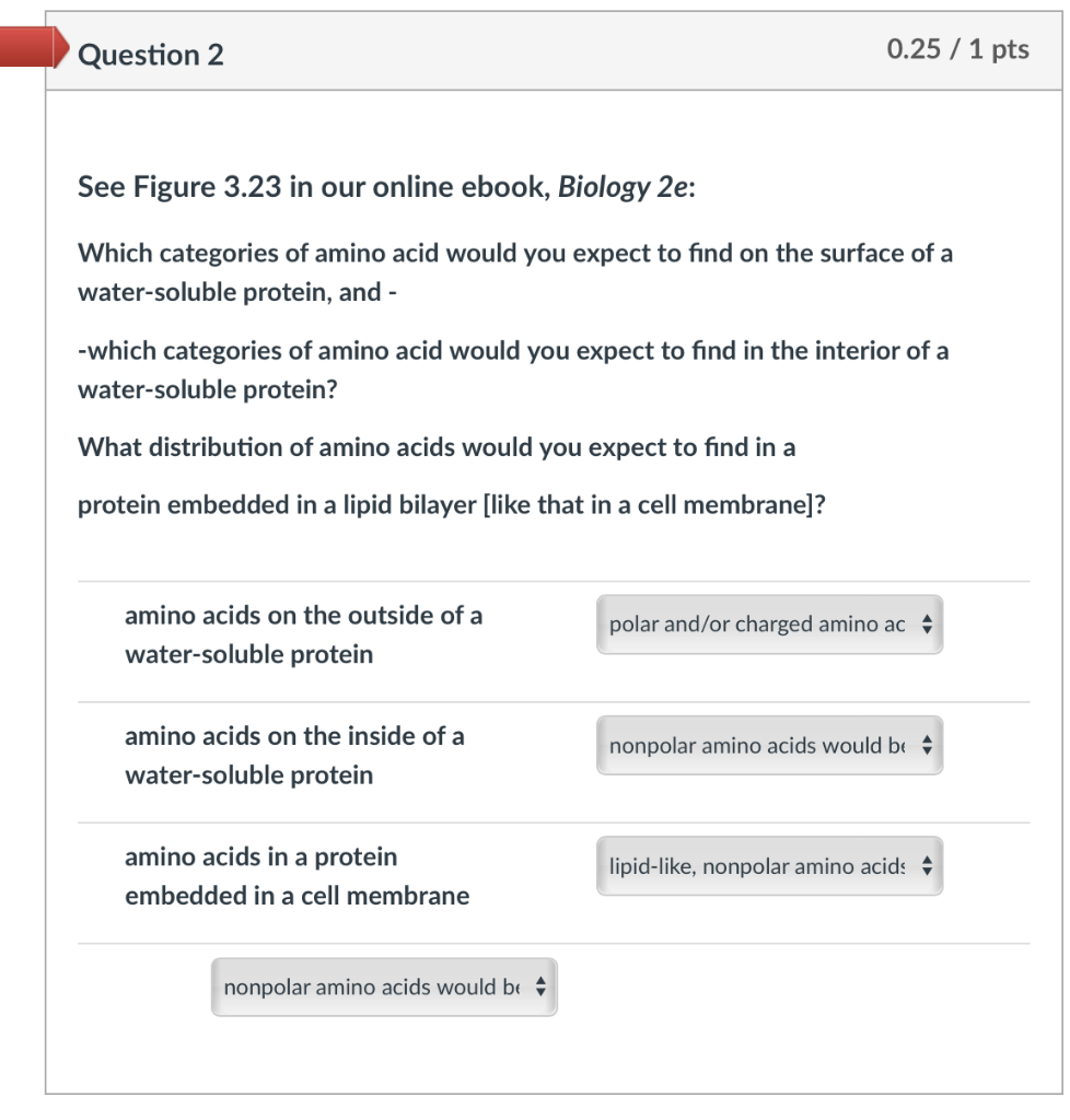 Solved Which categories of amino acid would you expect to | Chegg.com