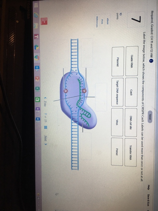 Solved Graded CH 11 and 12 HW Label the image below, which | Chegg.com Solved Graded CH 11 and 12 HW Label the image below, which | Chegg.com