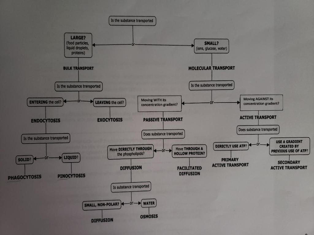 Solved Activity 4. Decision Trees What distinguishes | Chegg.com