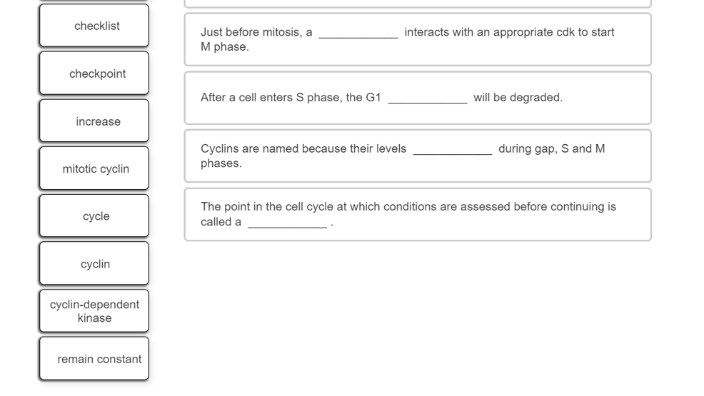 Solved Regulation of the cell cycle Fill in the appropriate | Chegg.com