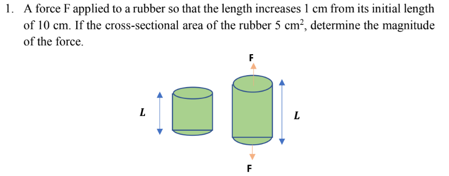 Solved 1. A force F applied to a rubber so that the length | Chegg.com