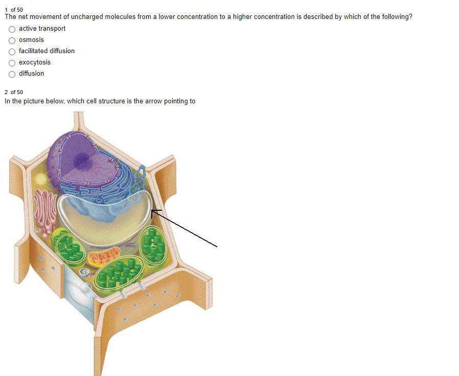 Solved 1 of 50 The net movement of uncharged molecules from | Chegg.com