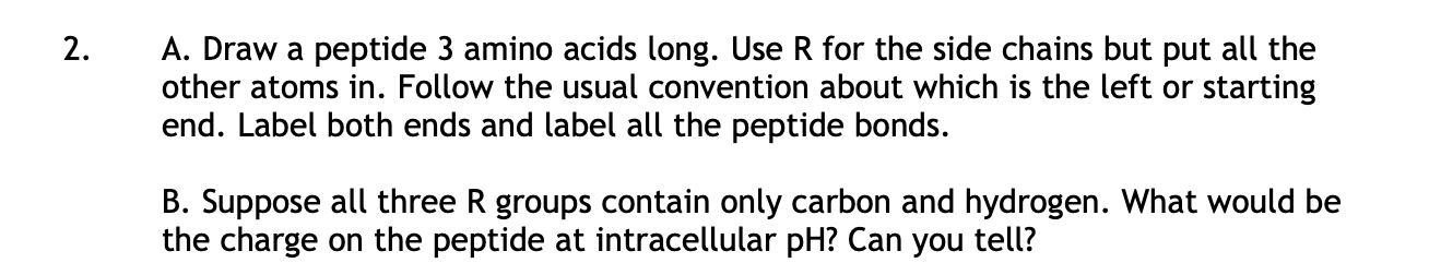 Solved 2. A. Draw a peptide 3 amino acids long. Use R for | Chegg.com
