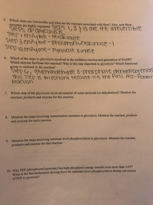 Solved 5. Which steps are irreversible and what are the | Chegg.com