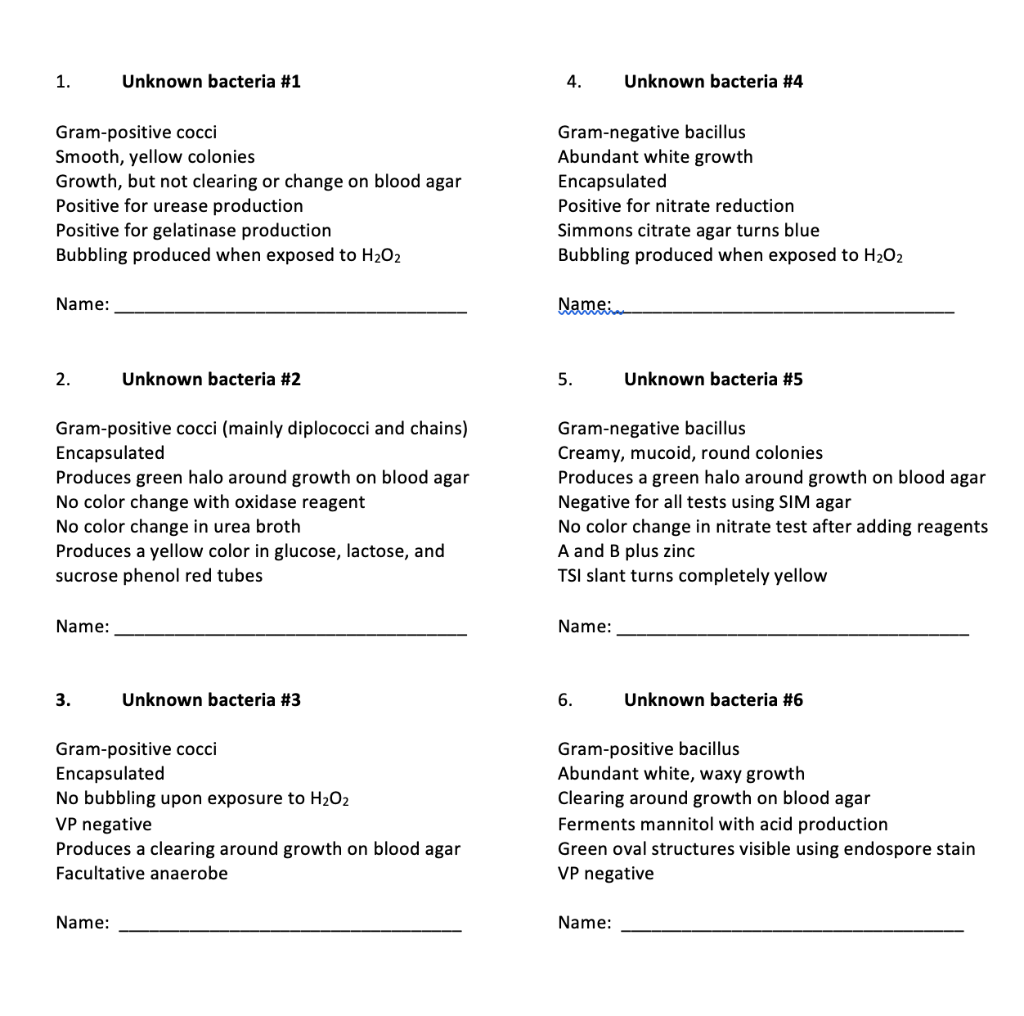 Solved 1. Unknown bacteria #1 4. Unknown bacteria #4 | Chegg.com
