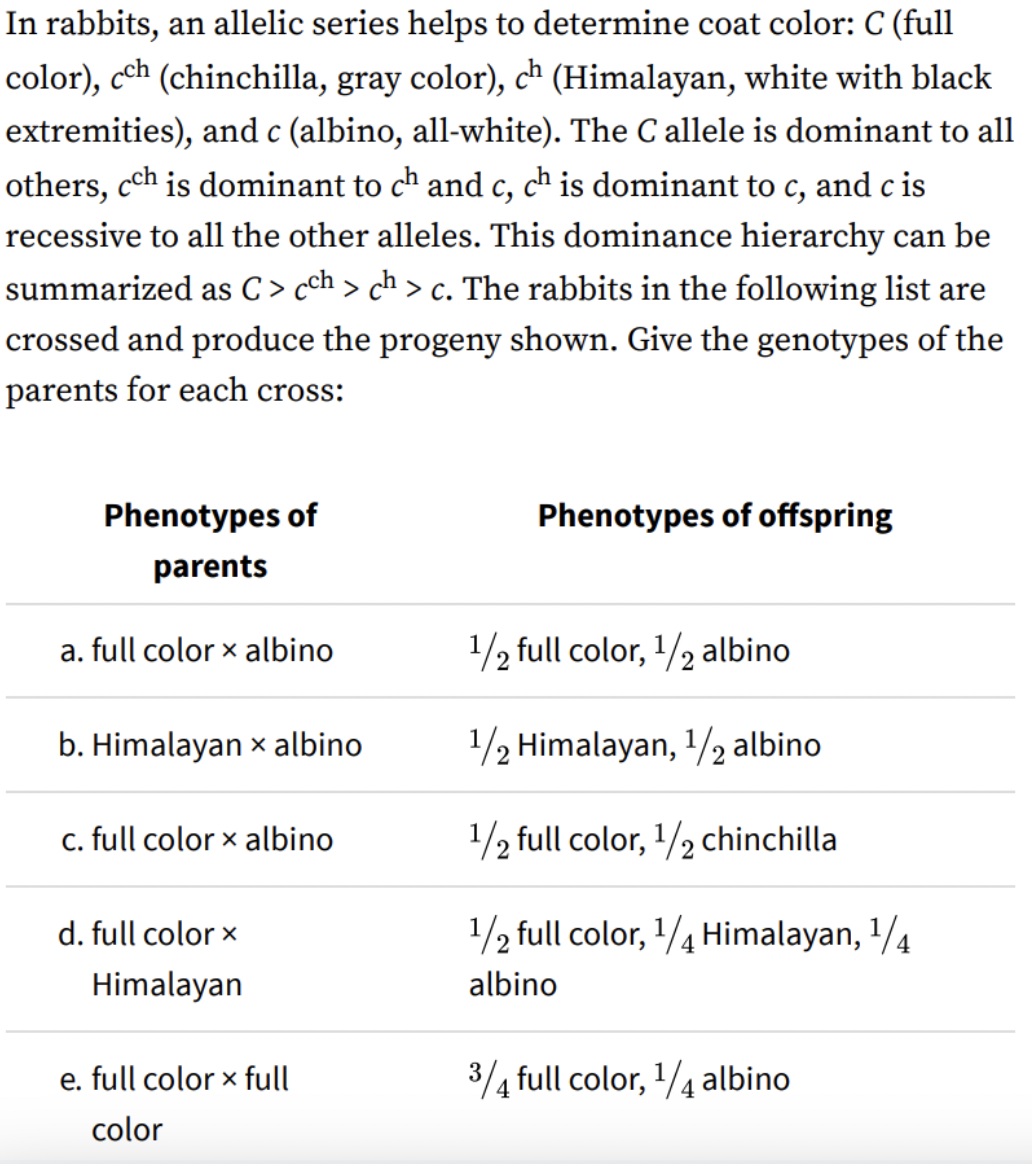 Solved In rabbits, an allelic series helps to determine coat | Chegg.com