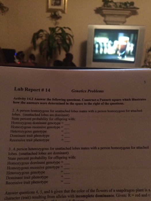 Solved Lab Report # 14 Genetics Problems Activity 14.2 | Chegg.com
