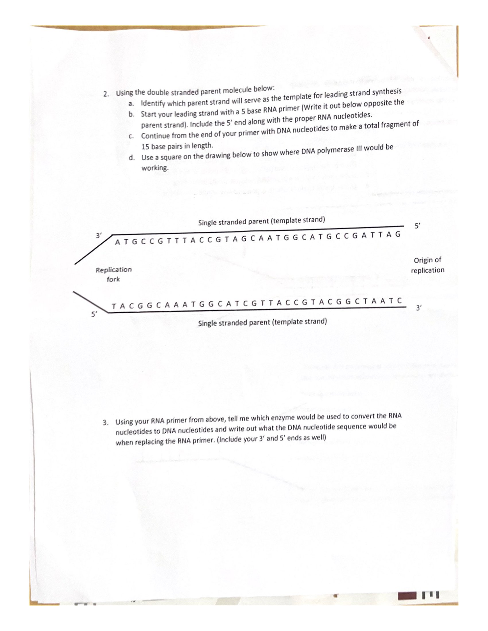 Solved 1. For each replication fork diagram below, do the | Chegg.com