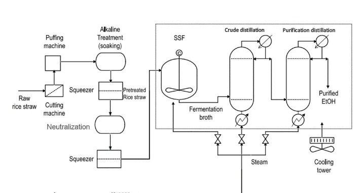 Solved 2. Mass Balance (WP1 - Depth of knowledge) - Provide | Chegg.com