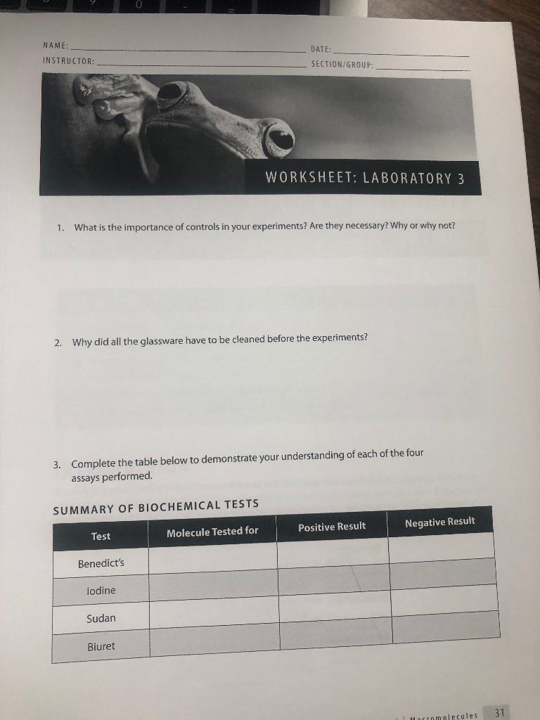 Solved Instructor Section Group Data Laboratory 3 A