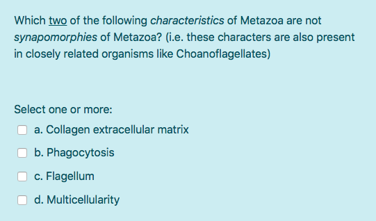 Solved Which two of the following characteristics of Metazoa | Chegg.com